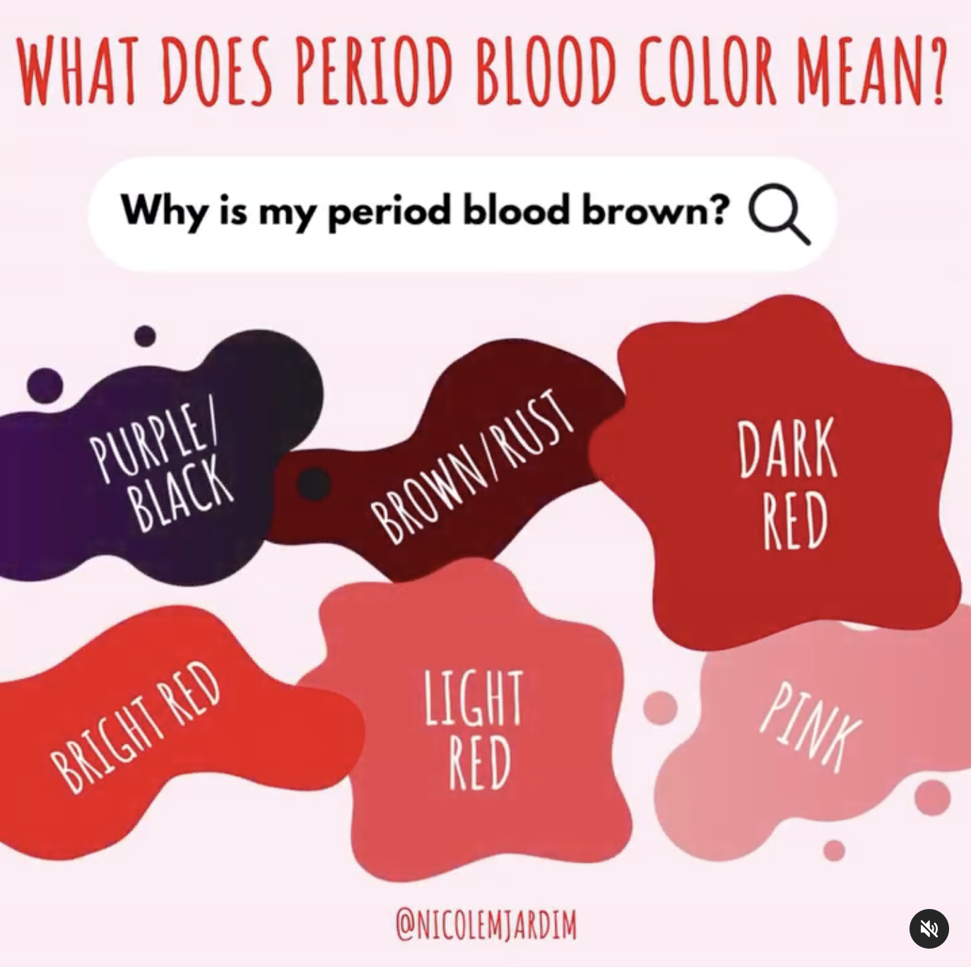 Periods 101 Instagram Series - Nicole Jardim